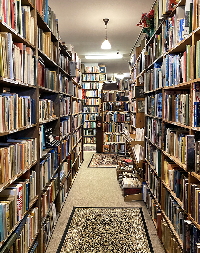 Oriental rugs guide visitors through narrow passages between towering shelves, adding warmth to this literary labyrinth.