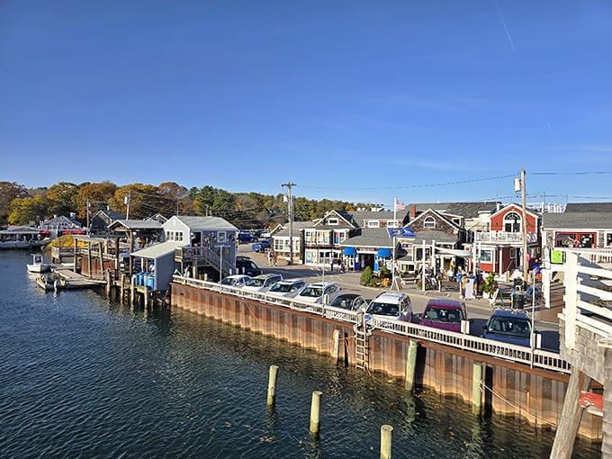 Ogunquit's streets blend working harbor authenticity with tourist-friendly charm, creating a balance that keeps the town genuine and welcoming.