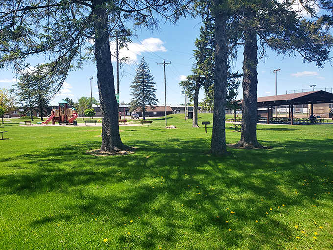 Ott's Park offers that quintessential small-town green space where generations gather under towering pines that have witnessed countless picnics and proposals.