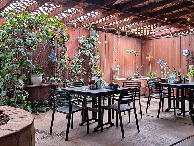 Nature's dining room &ndash; the outdoor patio offers a tranquil escape with climbing vines and desert plants creating a garden oasis.