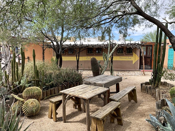Desert dining at its finest &ndash; rustic wooden tables nestled among cacti and desert plants create a uniquely Arizonan eating experience.