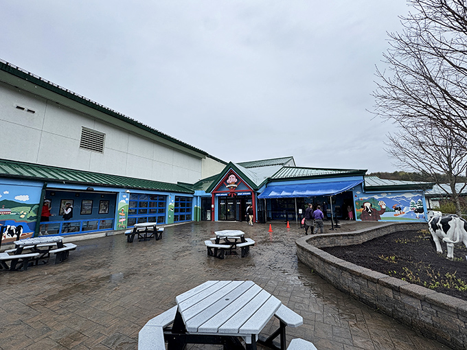 The factory's outdoor seating area provides a place for ice cream contemplation. Here, visitors can enjoy their scoops while pondering which flavors might be next.