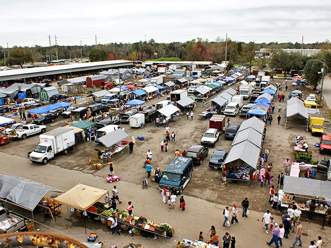 Treasure hunters and foodies alike flock to the Plant City Farm and Flea Market, where every stall offers potential discoveries.