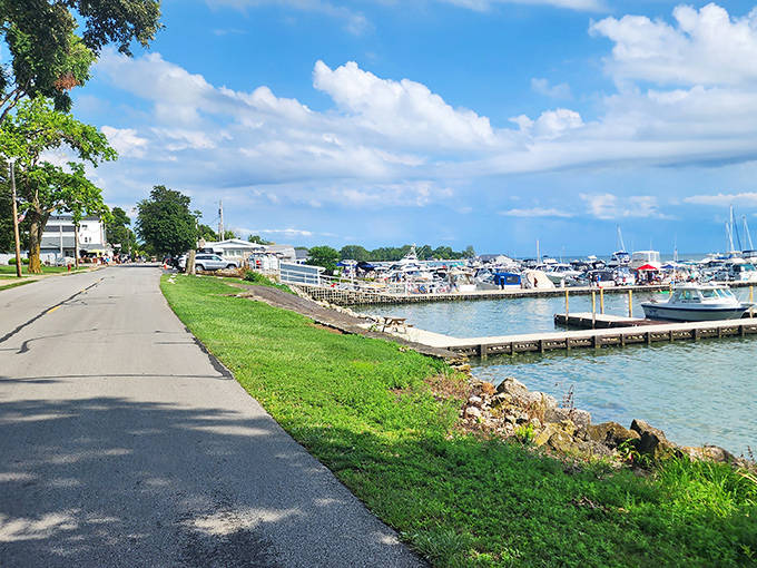Portside Marina welcomes sailors and dreamers alike, where boats bob gently and water sparkles like diamonds scattered across blue velvet.