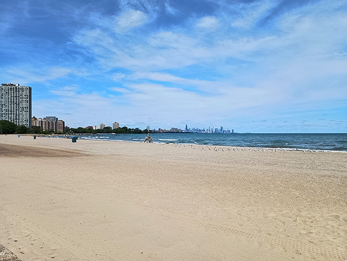 Wide open beaches mean you can actually spread out without accidentally joining someone else's family reunion, which is surprisingly rare these days.