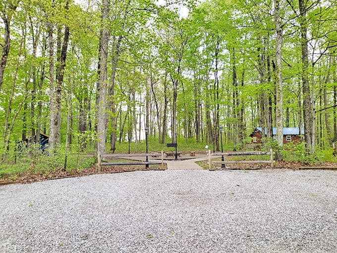 Wooded trails surrounding the property offer peaceful escapes into nature that feel appropriately enchanted.