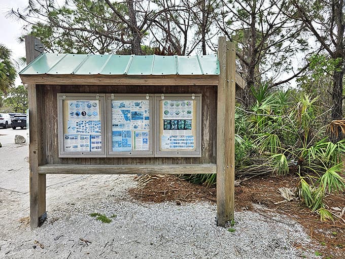 Knowledge is power at this rustic information station, where trail maps and wildlife guides prepare visitors for their natural adventure.