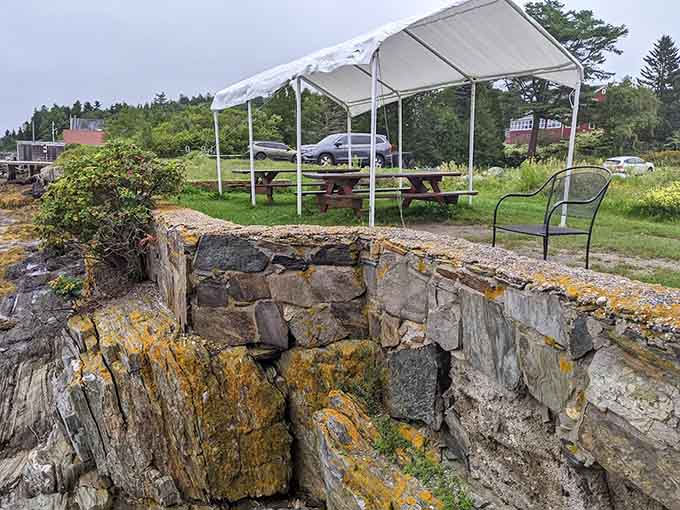 These outdoor benches have hosted countless satisfied customers who weren't quite ready to leave paradise yet.