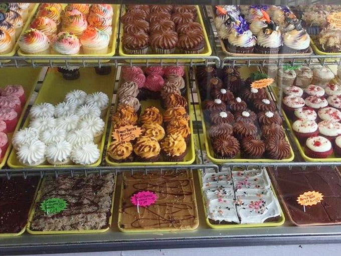 The full display in all its glory, showcasing the kind of variety that makes decision-making both exciting and slightly overwhelming.