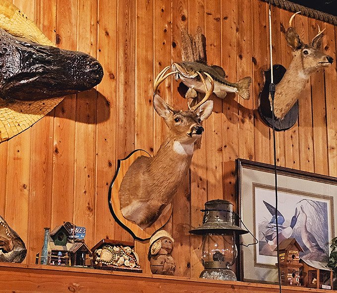 The taxidermy collection might raise eyebrows elsewhere, but here it's part of the authentic charm that makes Stumpknockers uniquely Floridian.