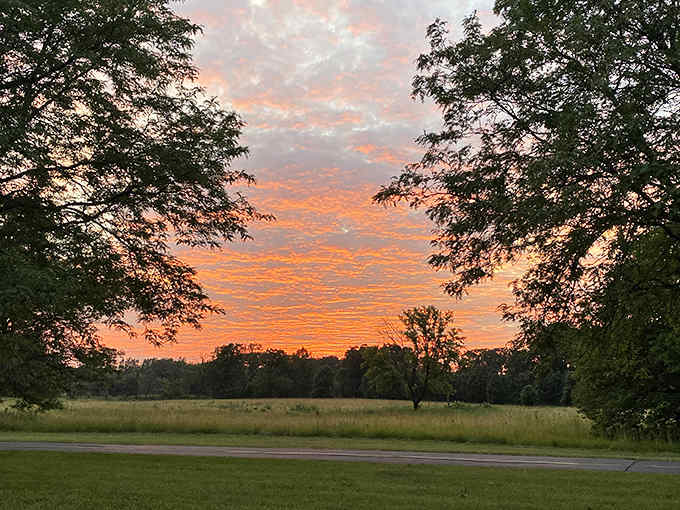 Nature's nightly farewell performance paints the sky in impossible oranges and pinks, silhouetting the preserve's ancient sentinels.