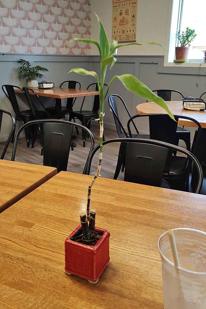 Even the plants here look happy, probably because they get to spend their days surrounded by ice cream and smiling customers.