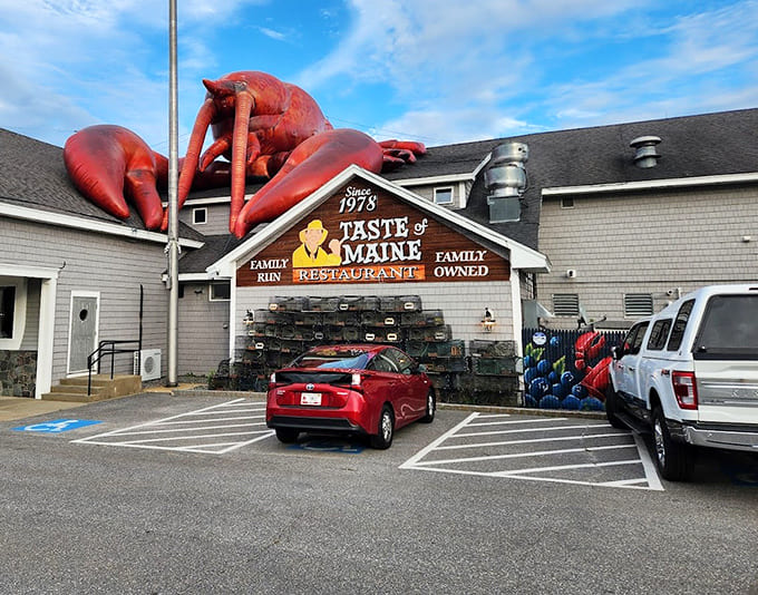 That giant lobster sculpture dominates the parking lot like a delicious overlord, and every car beneath it represents someone about to have an excellent meal.