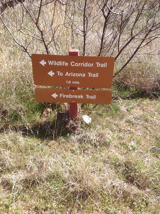 Trail markers point the way to adventure, with distances just long enough to feel accomplished but not so far you'll need rescue.