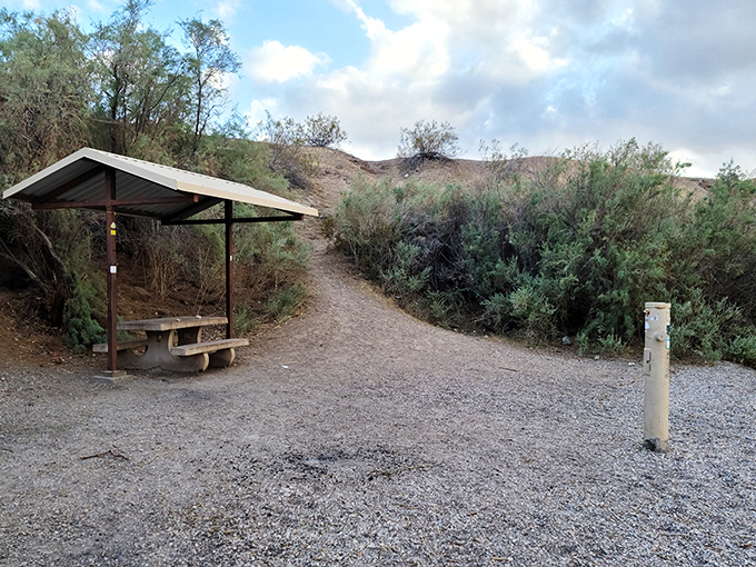 Desert hiking trails offer shaded rest stops along the way, perfect for catching your breath while contemplating the surprising beauty of Arizona's waterways.