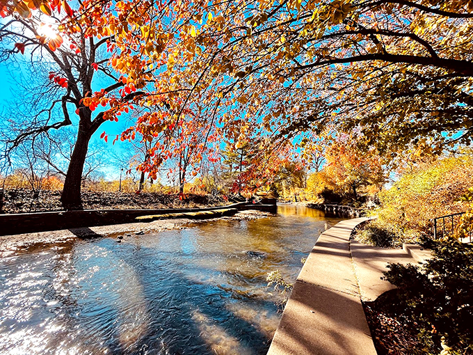 Nature's own fireworks display lights up the Riverwalk. These trees are putting on a show that rivals any Fourth of July spectacle.