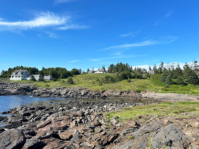 The village area reveals Monhegan's dual identity as both working fishing community and artist colony, where creativity and practicality coexist beautifully.