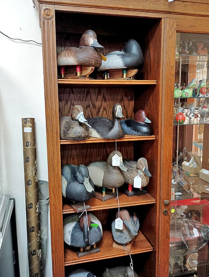 Duck decoys stand at attention, their wooden bodies carved and painted by hands that understood both art and the practical needs of hunters.