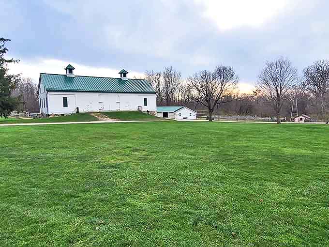 The classic white barn stands as an architectural anchor to the working farm, its clean lines contrasting with surrounding natural chaos.