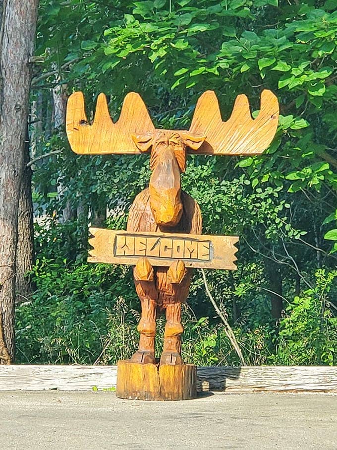 The carved wooden moose welcomes visitors with more charm than any fancy electronic sign could ever muster.