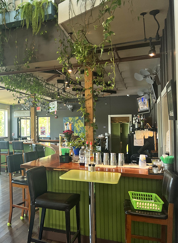 The Marina's bar area brings the outdoors in with cascading plants and warm wood tones, creating a cozy spot to enjoy a local craft beer or creative cocktail.