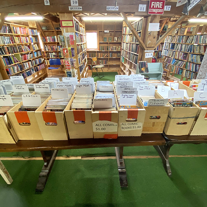 Comic book collectors rejoice at organized boxes offering affordable nostalgia &ndash; each $1 issue a portal to childhood adventures and simpler times.