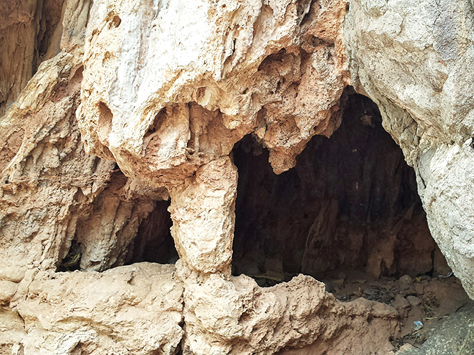 Time and water have sculpted these cave openings, where generations of wildlife have found shelter from desert extremes.