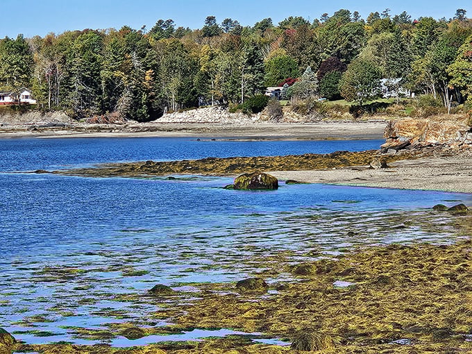 The changing tides create new landscapes hourly, with shallow pools reflecting sky and clouds between exposed seaweed-draped rocks.
