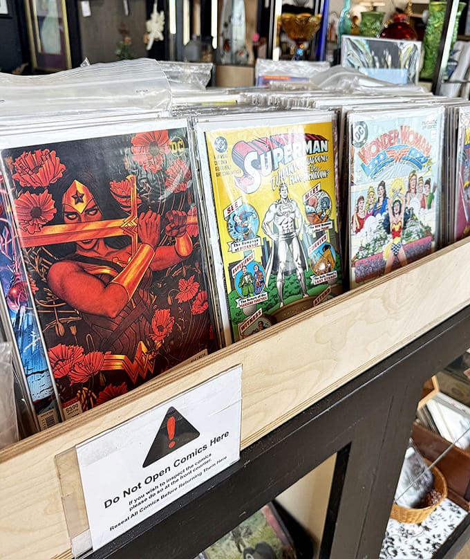 Nostalgia in plastic sleeves &ndash; these vintage comics aren't just collectibles, they're time machines to simpler days when heroes wore capes and problems resolved in 32 pages.