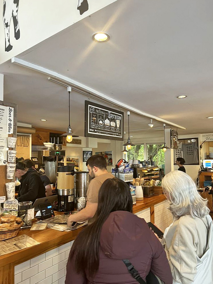 Where the magic happens: The bustling counter area reveals the choreographed efficiency behind Mon Vert's seemingly effortless service.