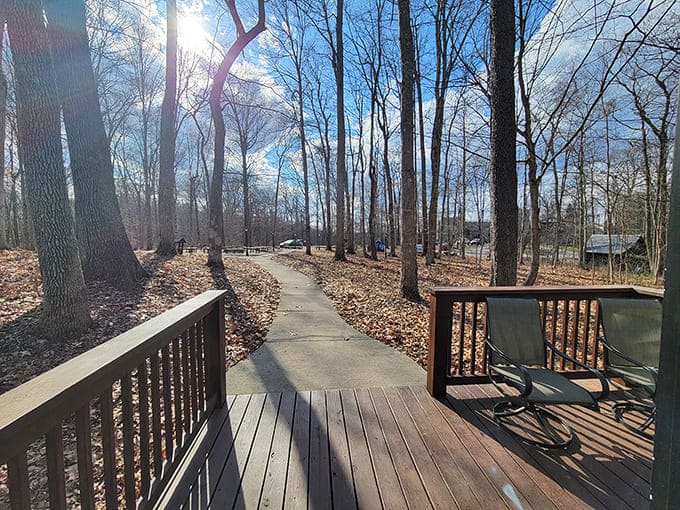 Morning sunlight dapples this woodland path, inviting castle guests to explore the realm beyond their temporary fortress.
