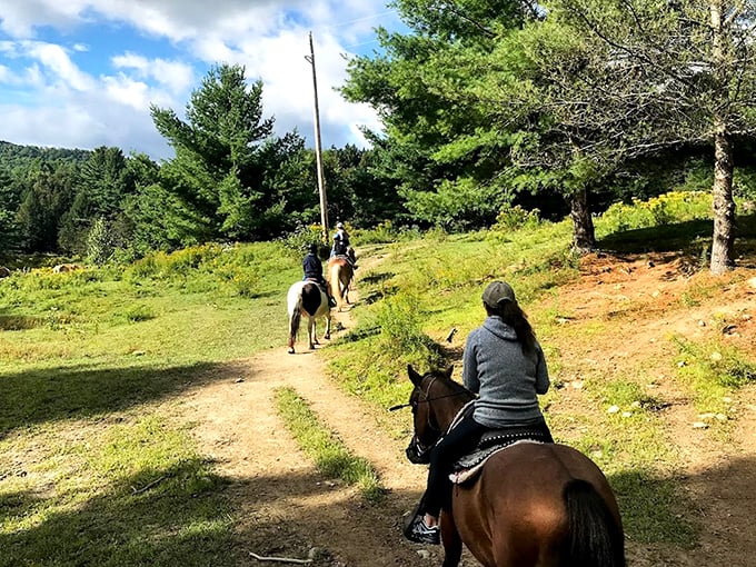 Riders follow their guide along gentle paths, the rhythmic clip-clop of hooves becoming the soundtrack to their Vermont adventure.
