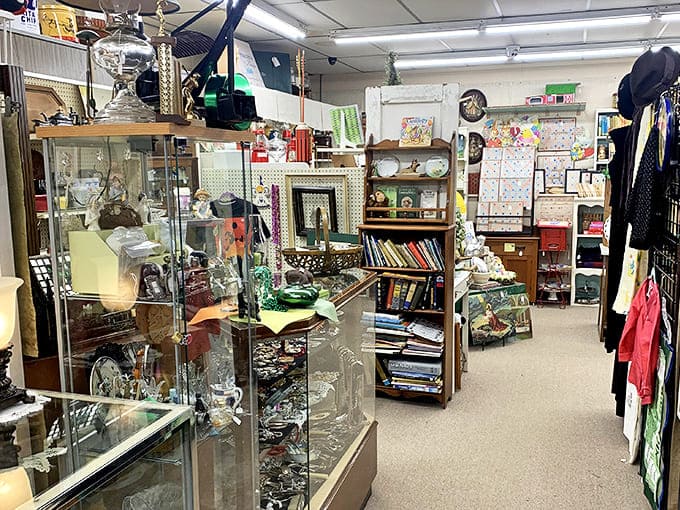 Display cases and carefully arranged vignettes create miniature worlds throughout the shop, each telling stories of American life across different decades.