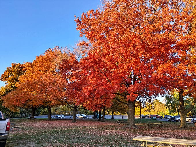 Fall's fiery maples create the perfect complement to Lake Erie's blues, a seasonal color palette that no interior designer could improve upon.