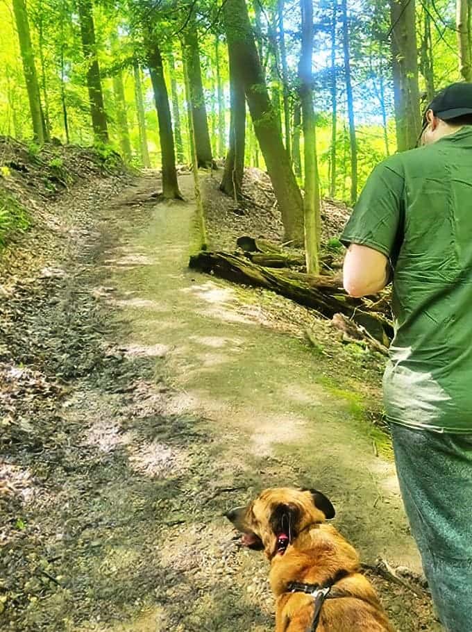 Man and best friend explore together &ndash; these trails offer adventure for two and four-legged visitors seeking forest magic and castle mysteries.