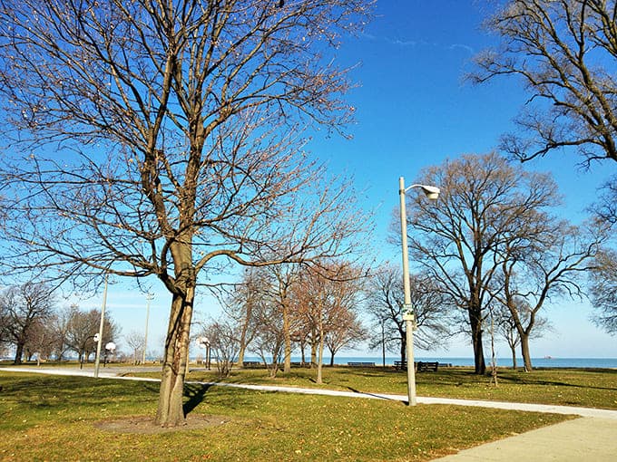 The park's open spaces transition from beach to greenery, creating diverse environments for everything from sunbathing to picnicking.