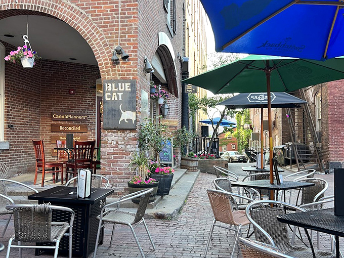 A hidden courtyard oasis in downtown Burlington where brick walls and outdoor tables create the perfect urban retreat for al fresco dining.