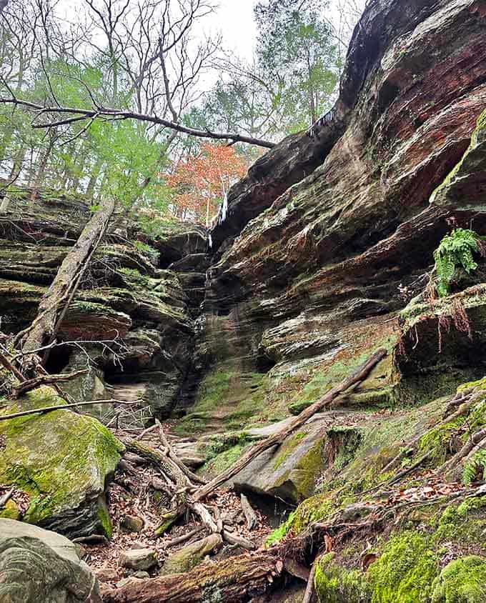 Vertical walls of sandstone create nature's hallway, where millions of years of geological history tower overhead.