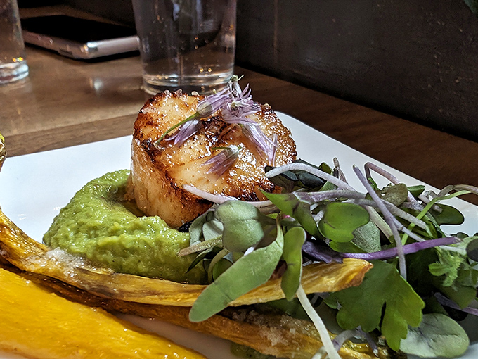 A perfectly seared scallop perches atop vibrant green puree – proof that seafood can find happiness far from the ocean.