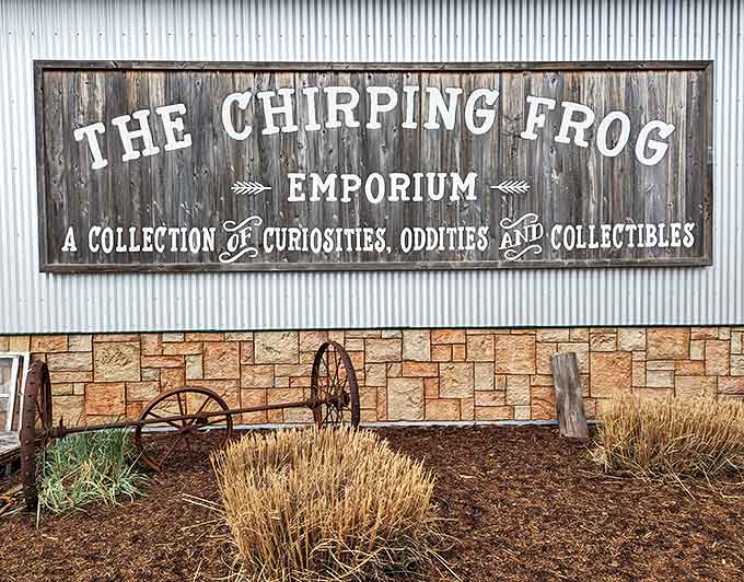 The wooden sign announces your arrival at a place where "curiosities, oddities, and collectibles" isn't just a tagline &ndash; it's a promise.