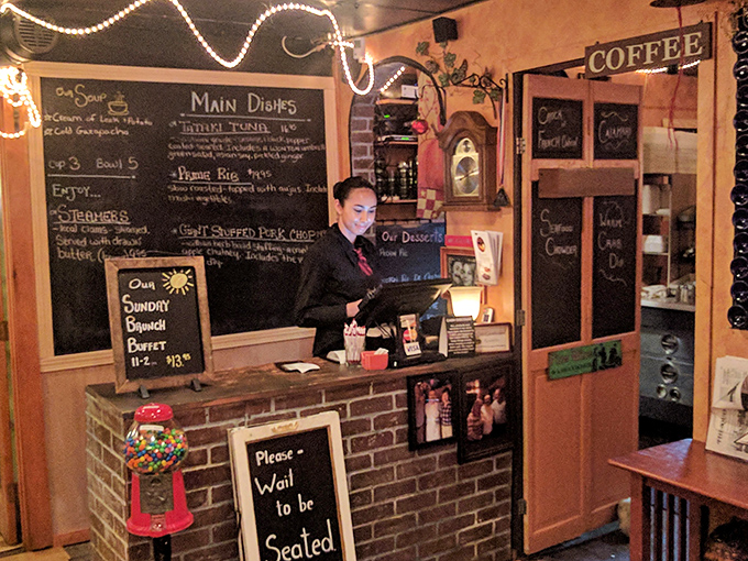 Friendly staff make every visitor feel like a regular, offering recommendations with genuine enthusiasm rather than rehearsed pitches.