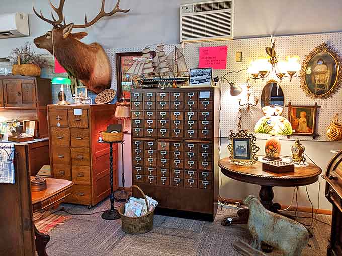 An eclectic mix of items creates a visual feast where mounted wildlife mingles with filing cabinets and ship models.