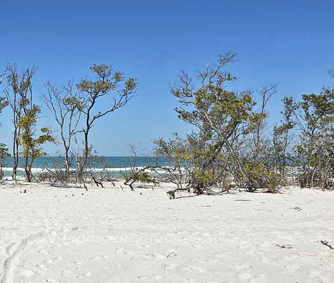 Sand this white makes you want to check if someone accidentally spilled powdered sugar everywhere.