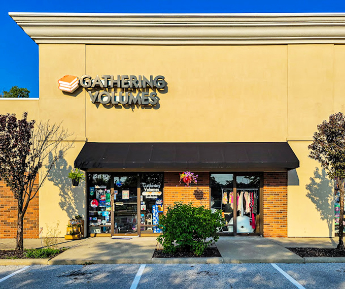 Books galore in this bright and cheery space! It's a literary party and everyone's invited.