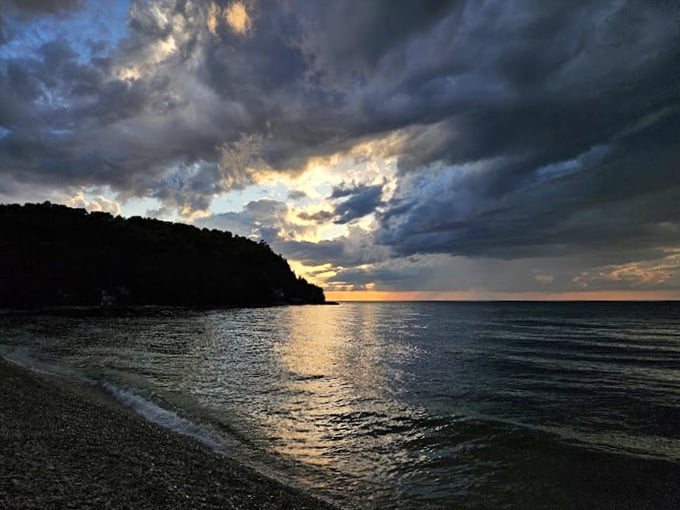 Where forest meets shore in a picturesque display. It's like stepping into a landscape painting!