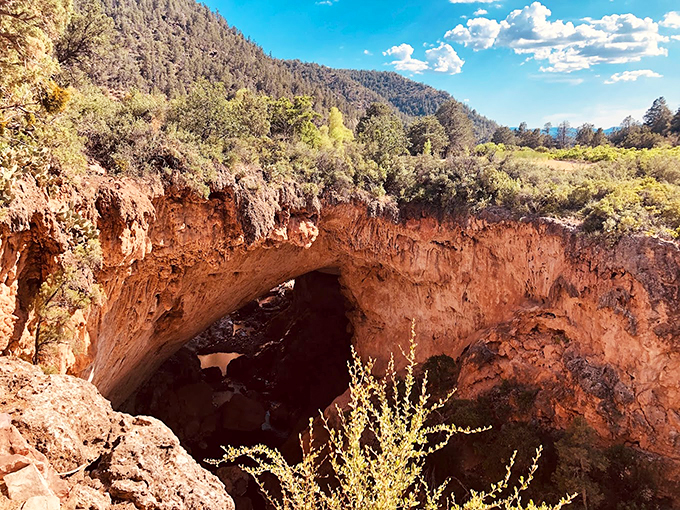 Nature's own drive-in theater: A rock arch frames the vibrant Arizona landscape like a widescreen TV. No remote control needed!