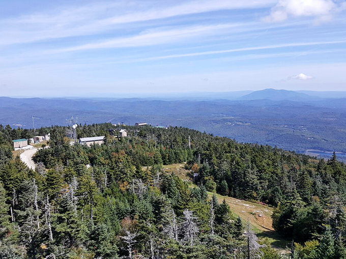 A breathtaking aerial view showcases Vermont's famous Green Mountains, the perfect backdrop for the Timber Ripper's winding adventure.