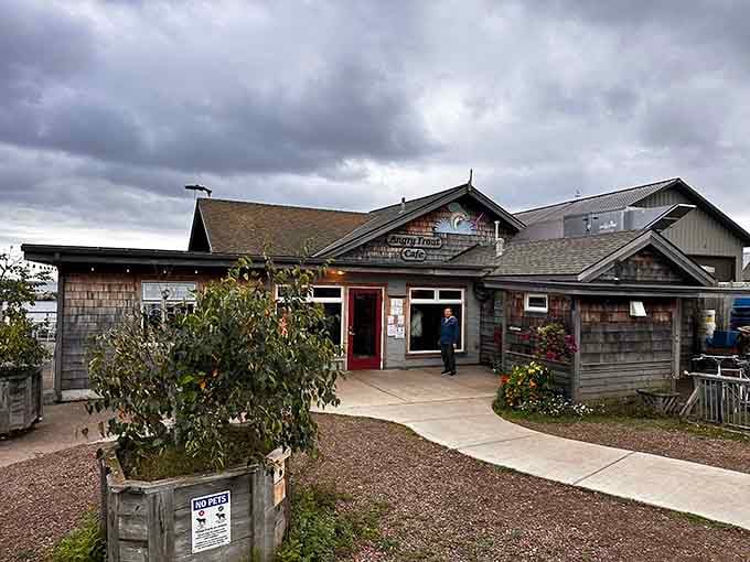 The outdoor patio offers front-row seats to Lake Superior's ever-changing moods, making every meal feel like a special occasion worth celebrating.