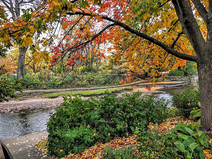 A golden canopy creates a tunnel of fall wonder. Walking through here is like stepping into the pages of a storybook &ndash; one written in shades of amber and crimson.