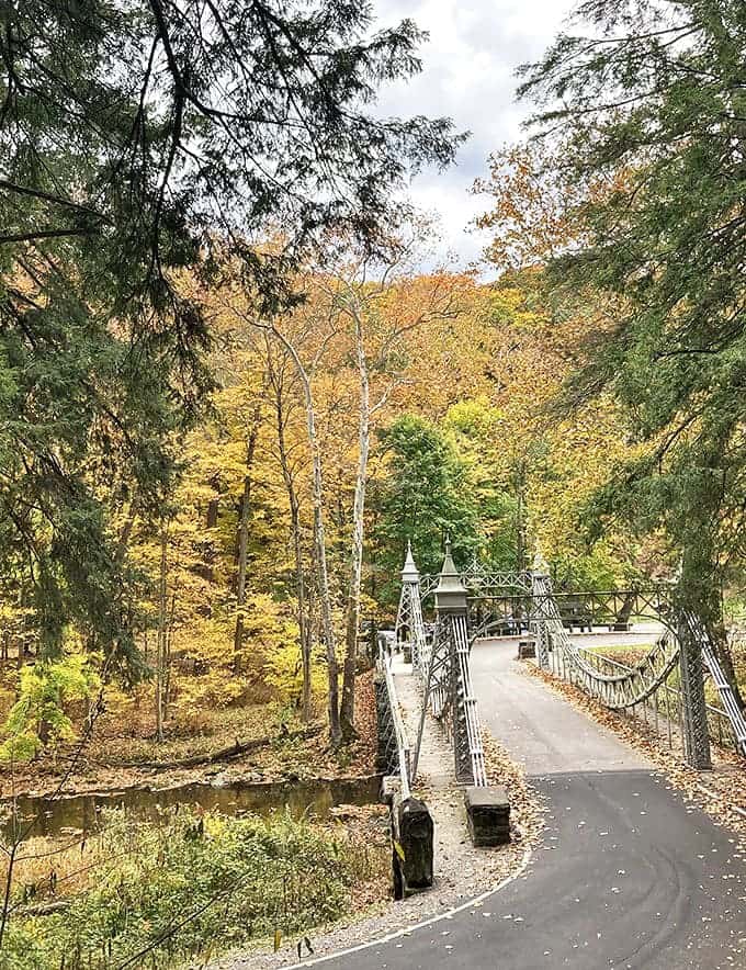 Autumn paints the perfect backdrop for this bridge path, where every step feels like walking through a scene that belongs on a calendar.